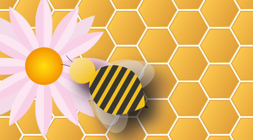 A seedbom that's the bees-knees - Grimsby Garden Centre