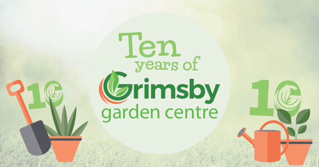 Celebrating 10 Years of Grimsby Garden Centre with Navigo - Grimsby Garden Centre